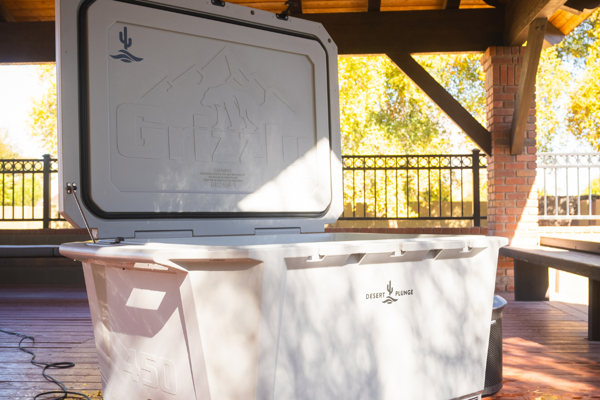Top 5 Things to Consider Before Buying an At-Home Cold Plunge System ...